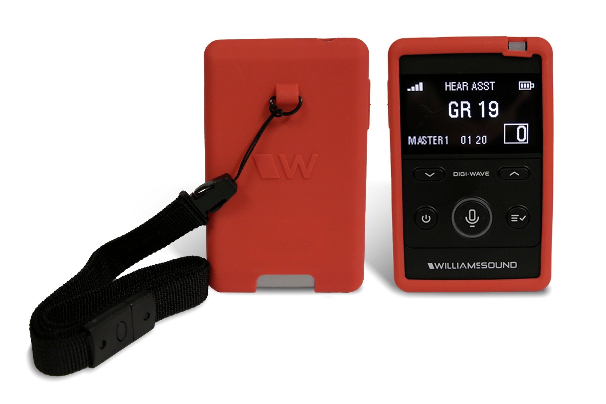 Digi-Wave AIM (Advanced Interpretation Module) System - Williams AV Digi-Wave AIM (Advanced Interpretation Module) System - Williams AV