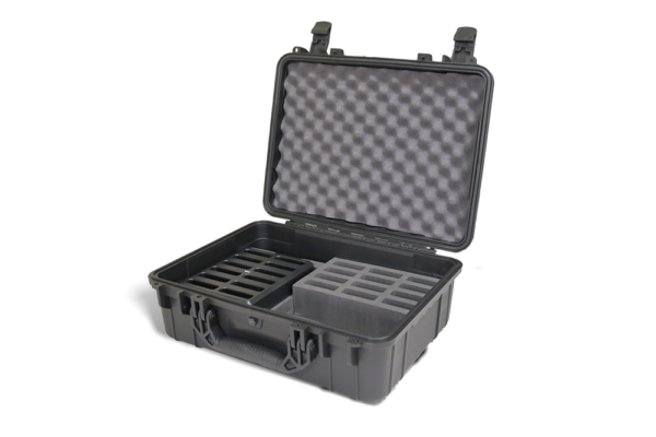 Digi-Wave AIM (Advanced Interpretation Module) System - Williams AV